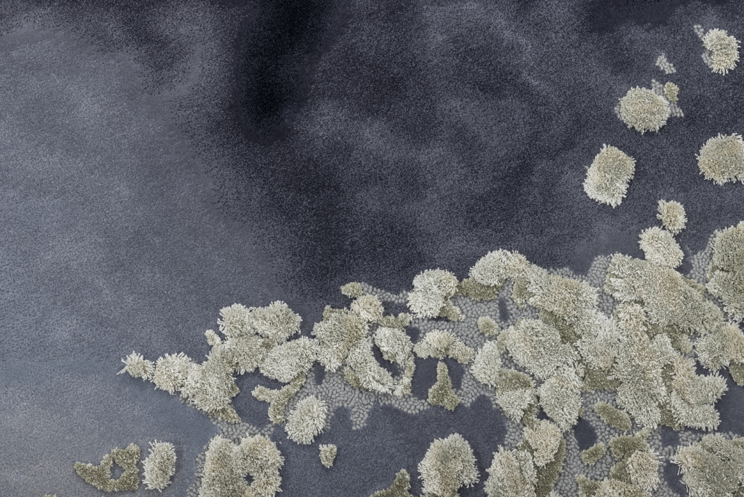 Edward Fields | Broken Shore